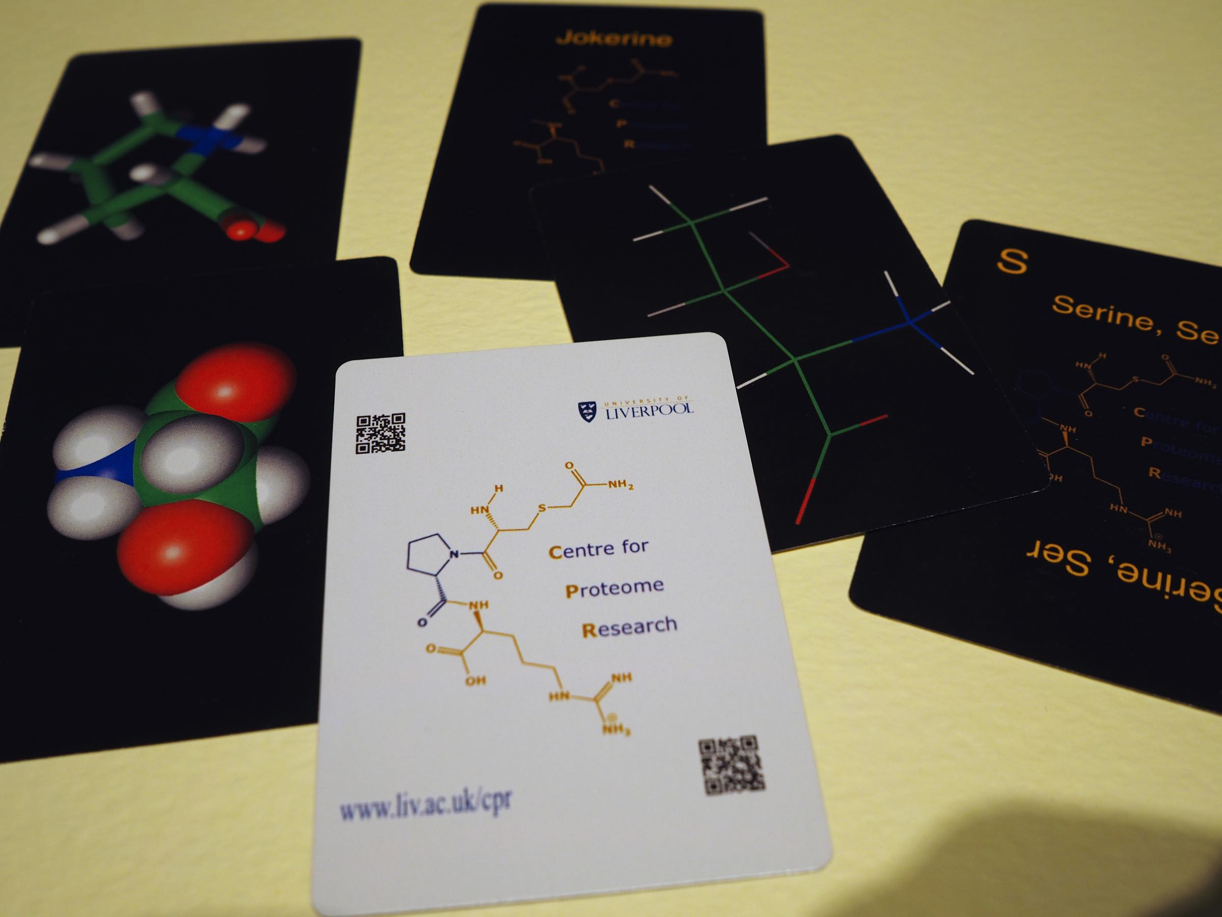 ZWITTER | | Professor Robert J Beynon BSc PhD FLSW